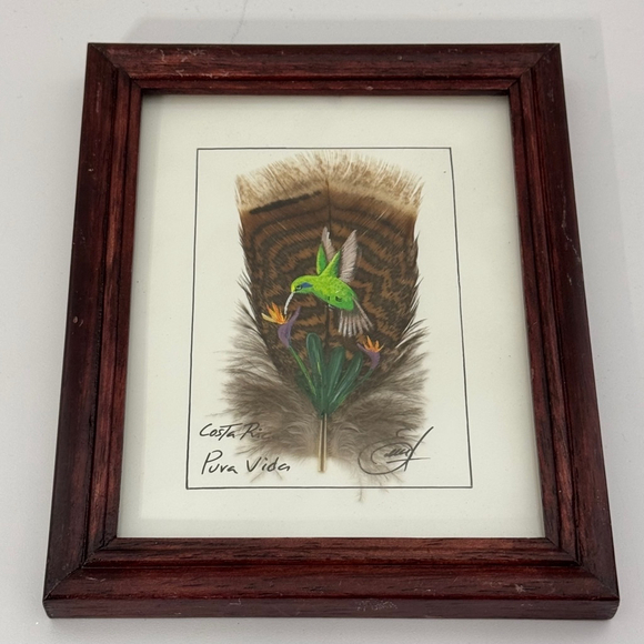Pura Vida | Art | Pura Vida Feather Bird Aviary Art Signed Hand Painted ...